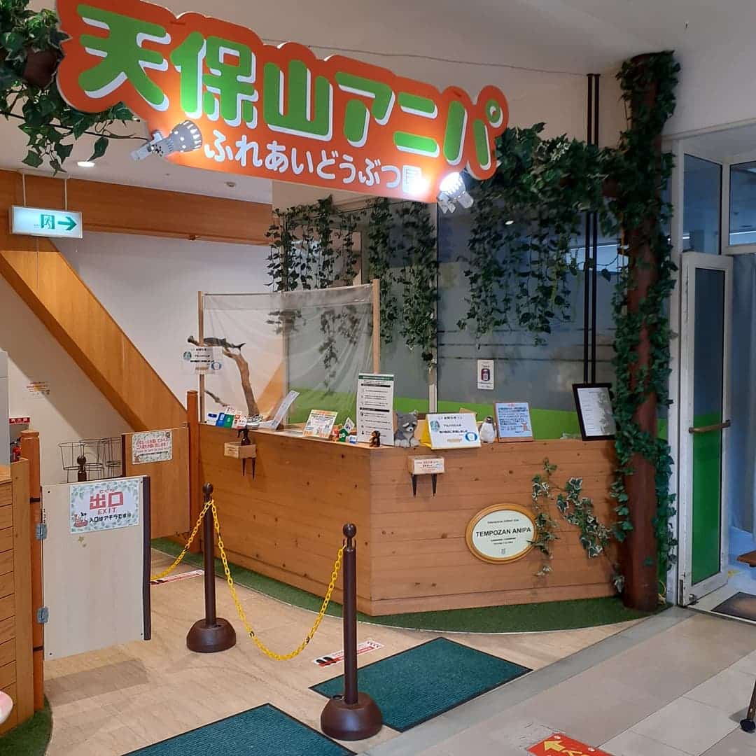 [오사카 동물원] 덴포잔 아니파 – 루워커(luwalker)